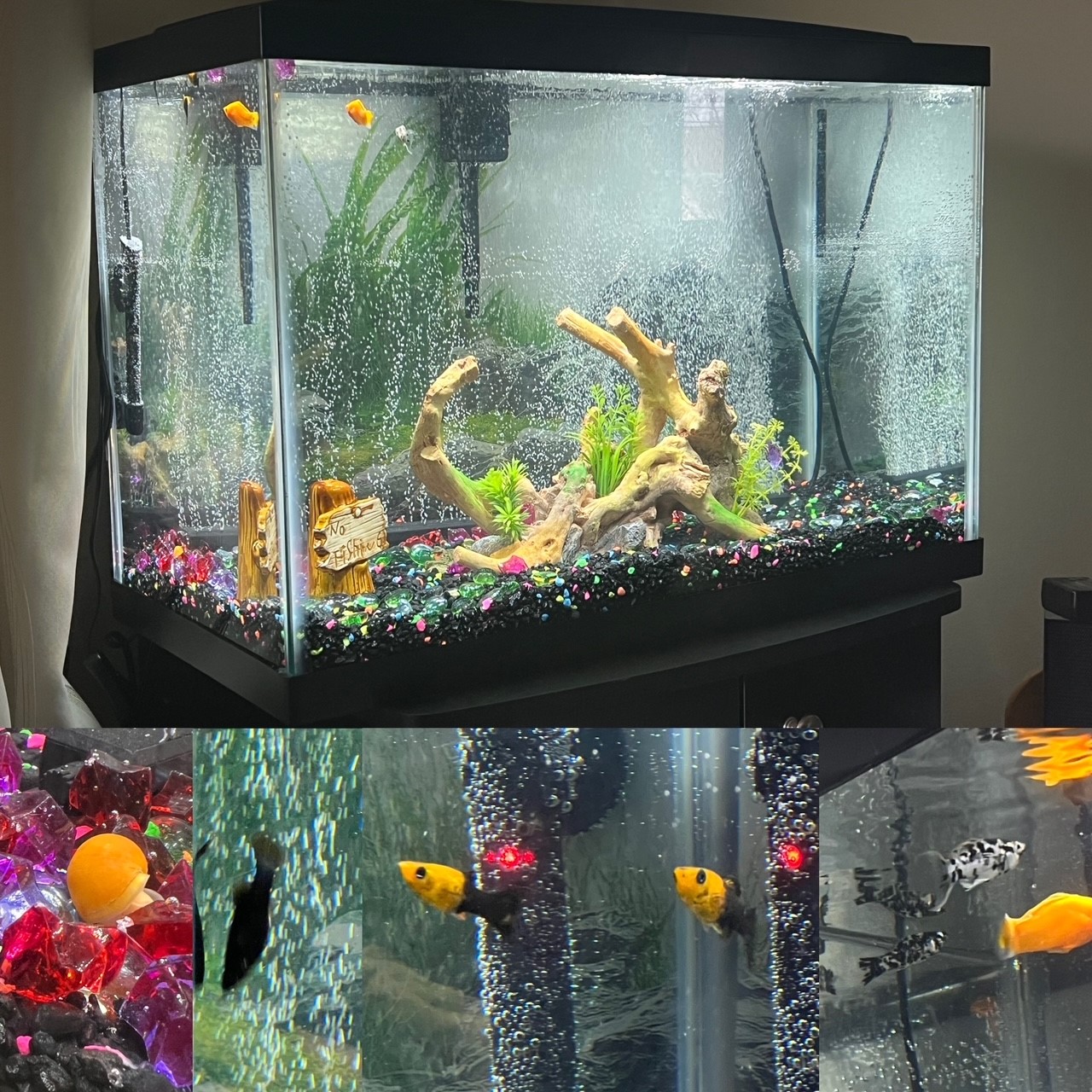 Creating a New Puzzle When Pieces are Missing | Books Under the Blanket ...